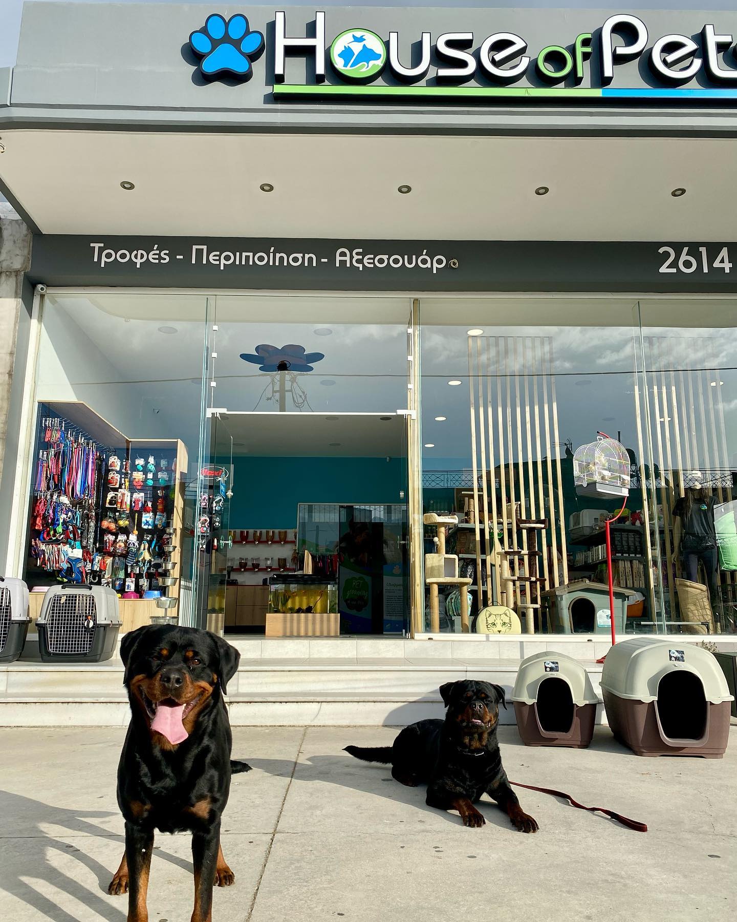 House of Pets | Κατοικίδια Ζώα - Pet Shop Πάτρα - Οβρυά, Κρήνη | eop.gr