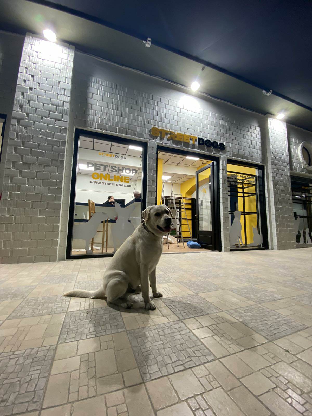 Streetdogs | Κατοικίδια Ζώα - Pet Shop Πάτρα - Ζαρουχλέικα | eop.gr