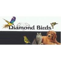 Diamond Birds | Κατοικίδια Ζώα - Pet Shop Πάτρα - Ακρωτηρίου ...